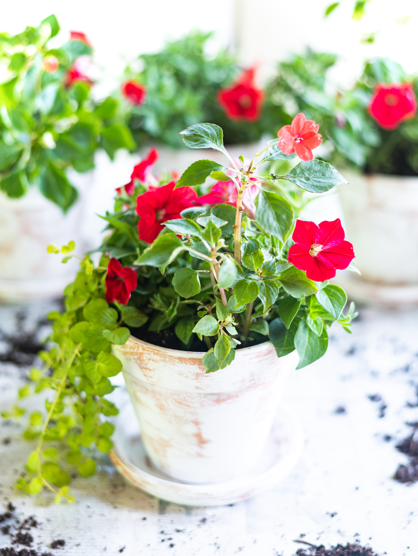 Easy Distressed Terracotta Pots - It All Started With Paint