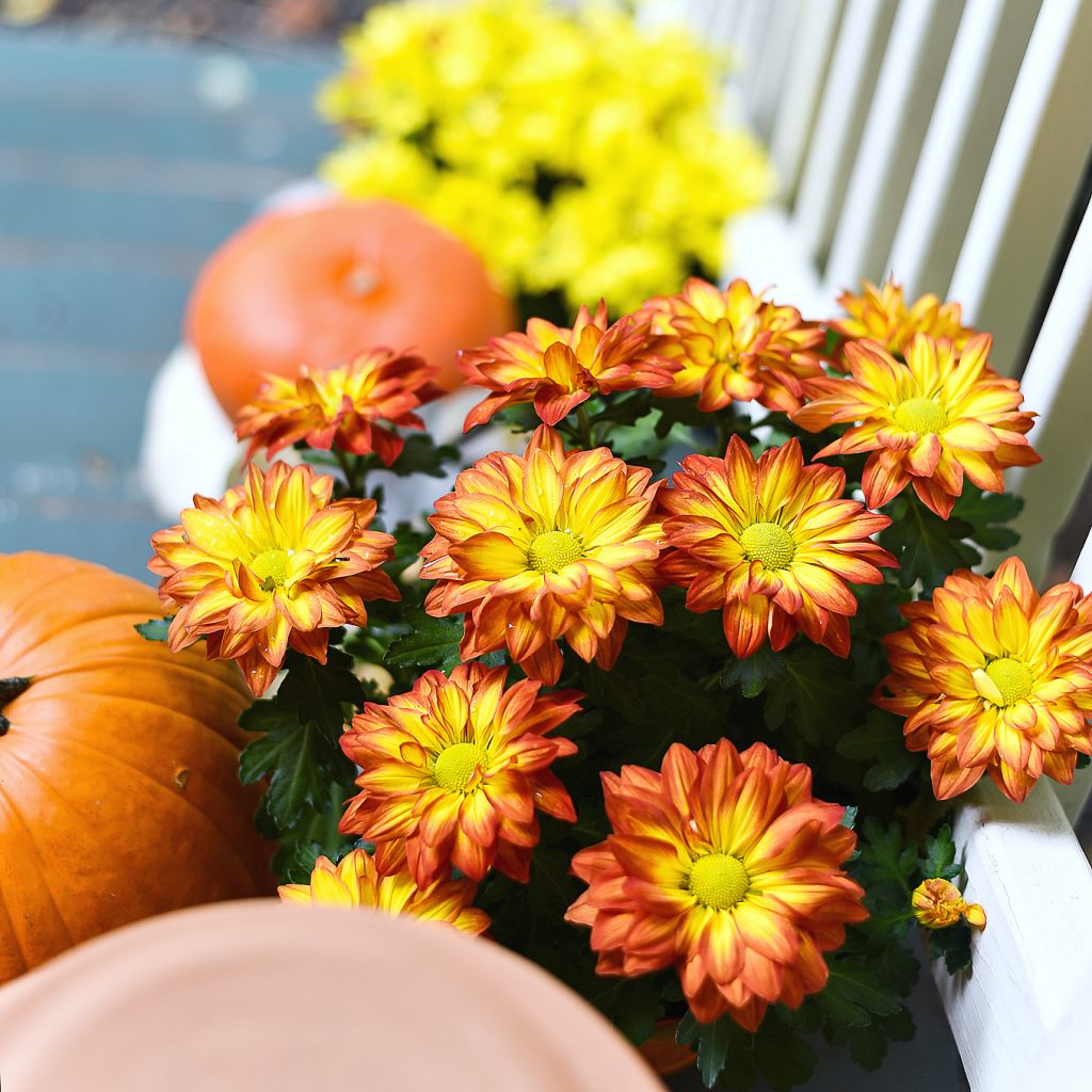 October in the City - It All Started With Paint