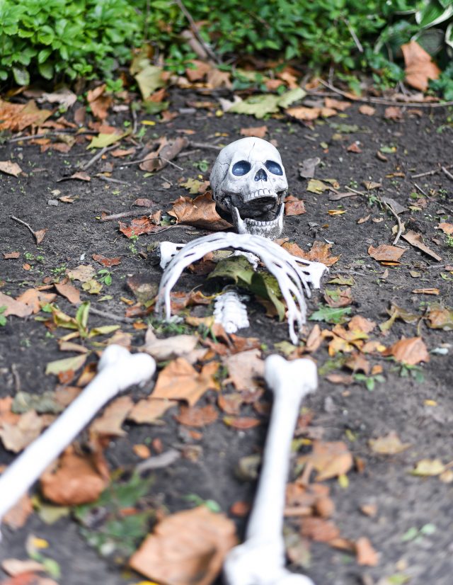 October in the City - It All Started With Paint