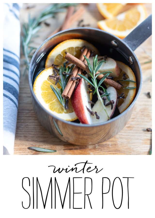 Winter Simmer Pot - It All Started With Paint