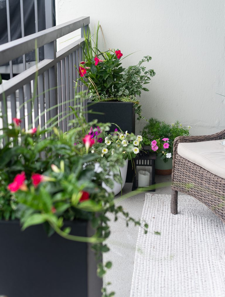 Chicago Condo Balcony Container Garden - It All Started With Paint
