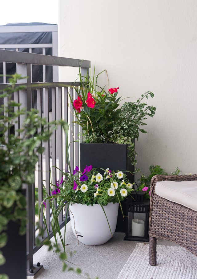 Chicago Condo Balcony Container Garden - It All Started With Paint